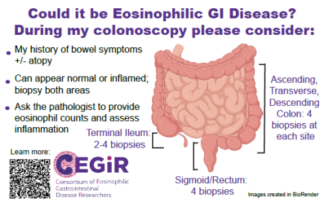 Endoscopy Best Practices for Eosinophilic GI Diseases | Consortium of ...